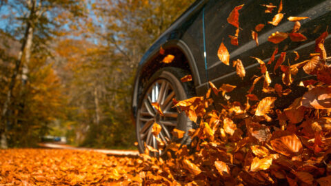 Fall Driving Hazards and Safety: Top 5 Tips to Prevent Accidents